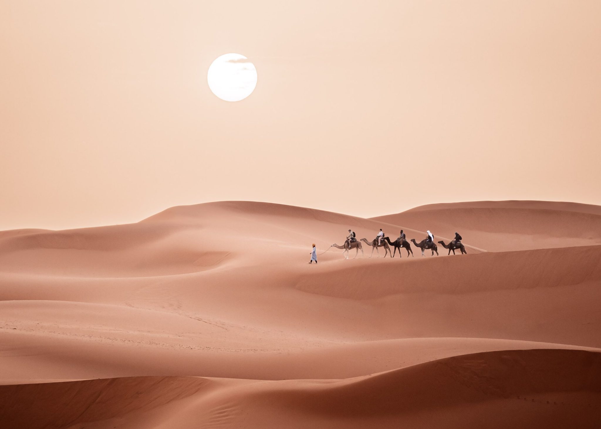 Top 10 Fascinating Facts About Sahara Desert