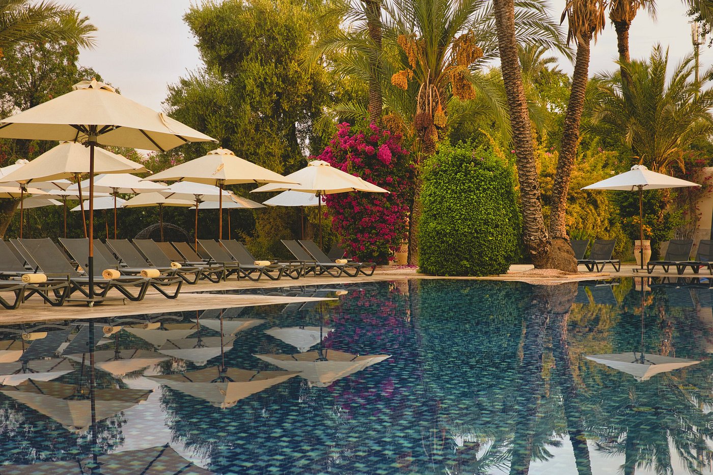 Club Med Marrakech La Palmeraie | Reviews & Prices